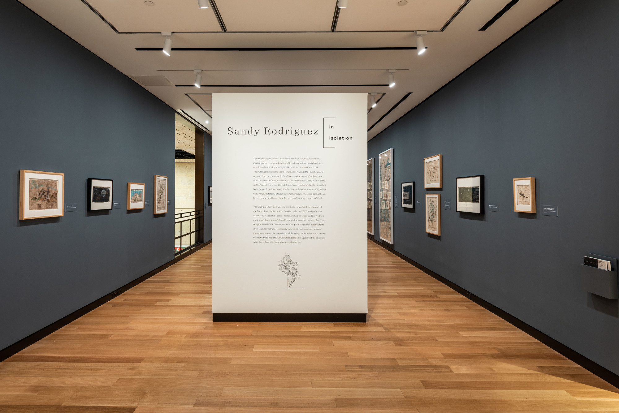Sandy Rodriguez in Isolation | Amon Carter Museum of American Art