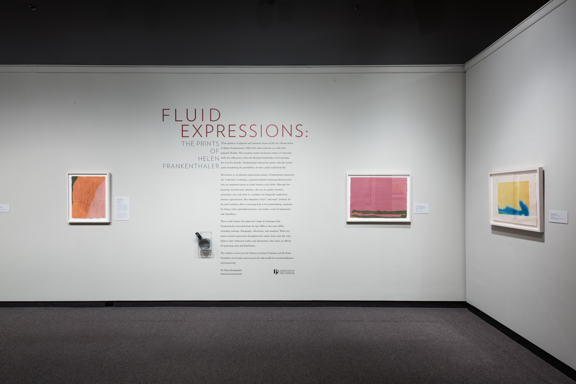 Fluid Expressions: The Prints of Helen Frankenthaler | Amon Carter ...