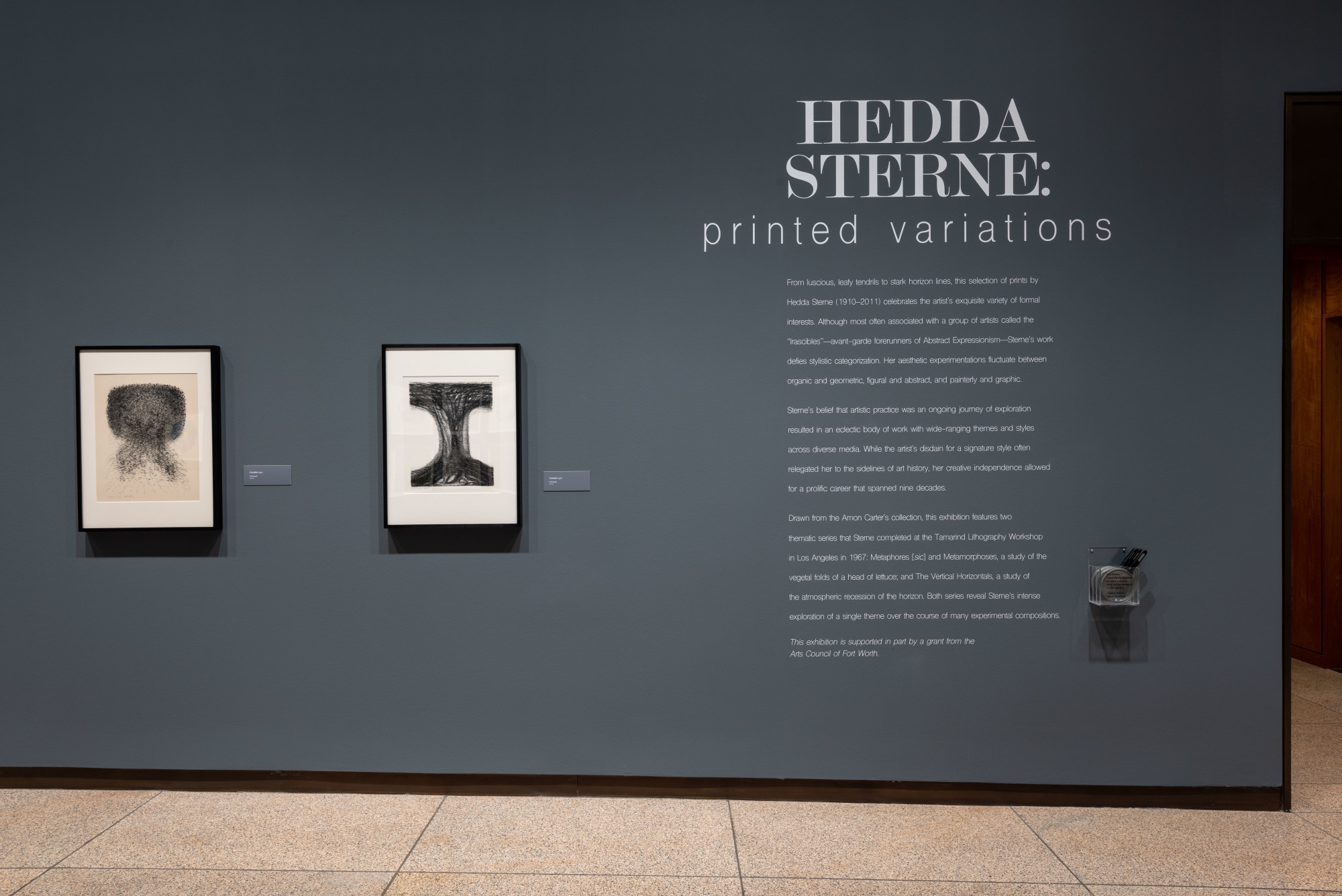Hedda Sterne: Printed Variations | Amon Carter Museum of American Art