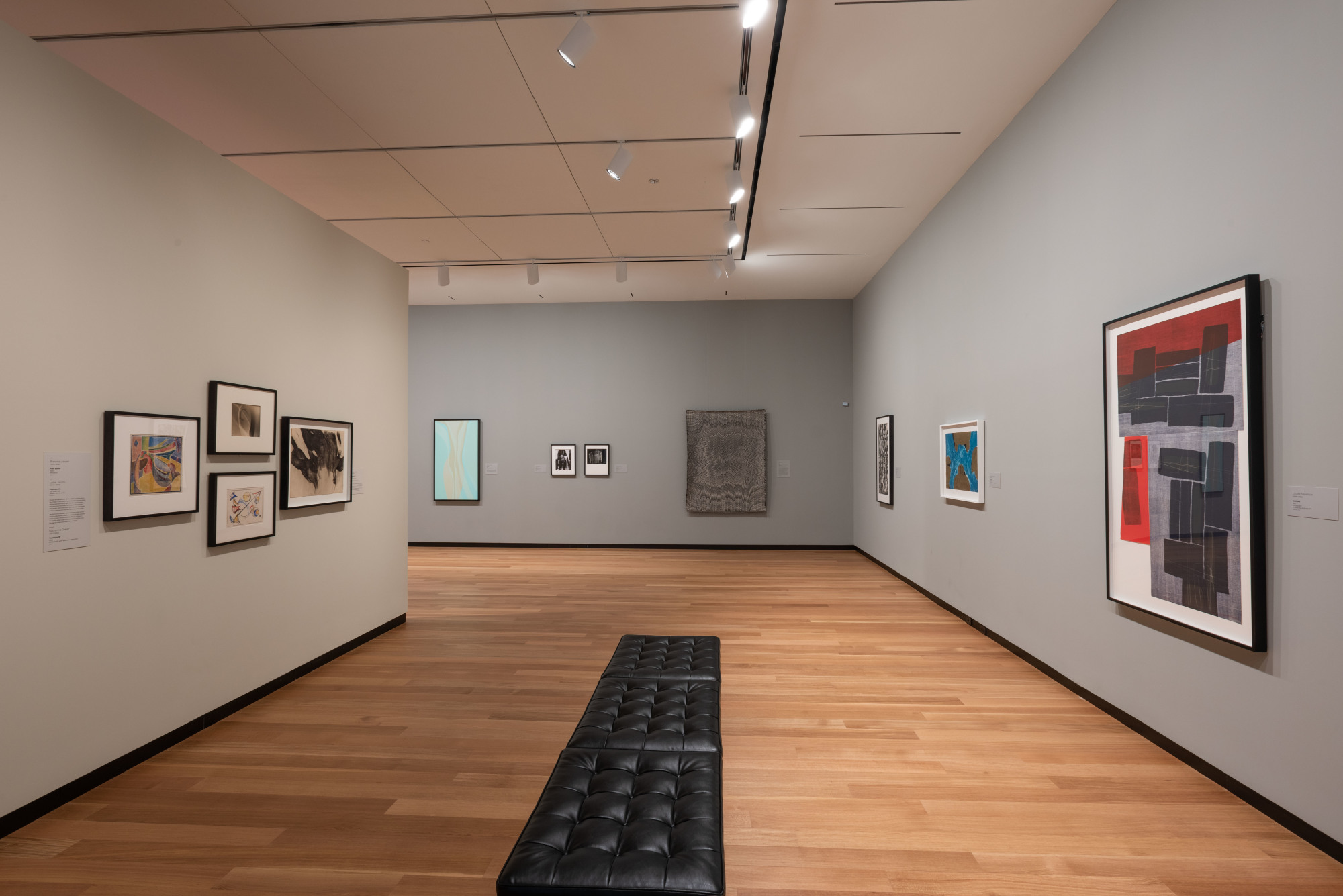 Set in Motion: Camille Utterback and Art That Moves | Amon Carter ...