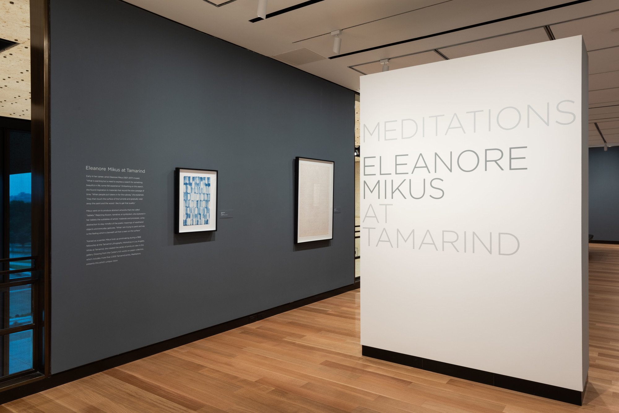 Meditations: Eleanore Mikus at Tamarind | Amon Carter Museum of ...