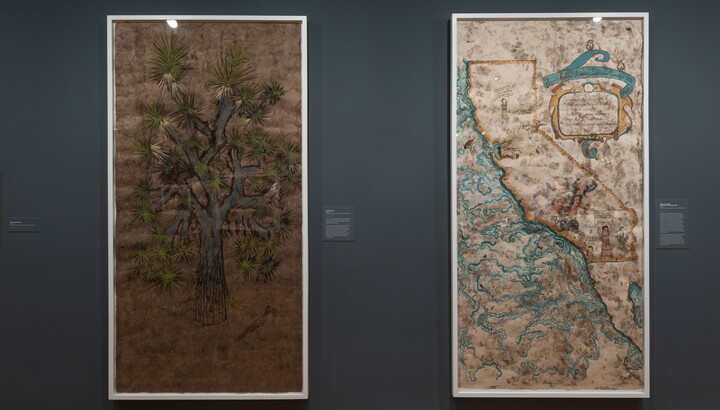 Sandy Rodriguez in Isolation | Amon Carter Museum of American Art