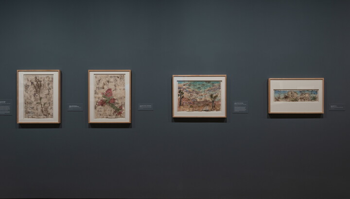 Sandy Rodriguez in Isolation | Amon Carter Museum of American Art