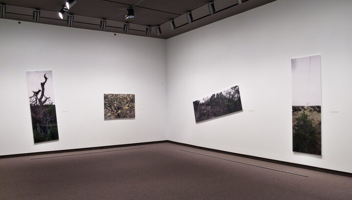 Subhankar Banerjee: Where I Live I Hope to Know | Amon Carter Museum of ...
