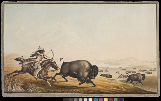 Assiniboine Hunting on Horseback | Amon Carter Museum of American Art