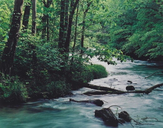 Spring Creek at Greer Springs, Missouri, May 21, 1978 | Amon Carter ...