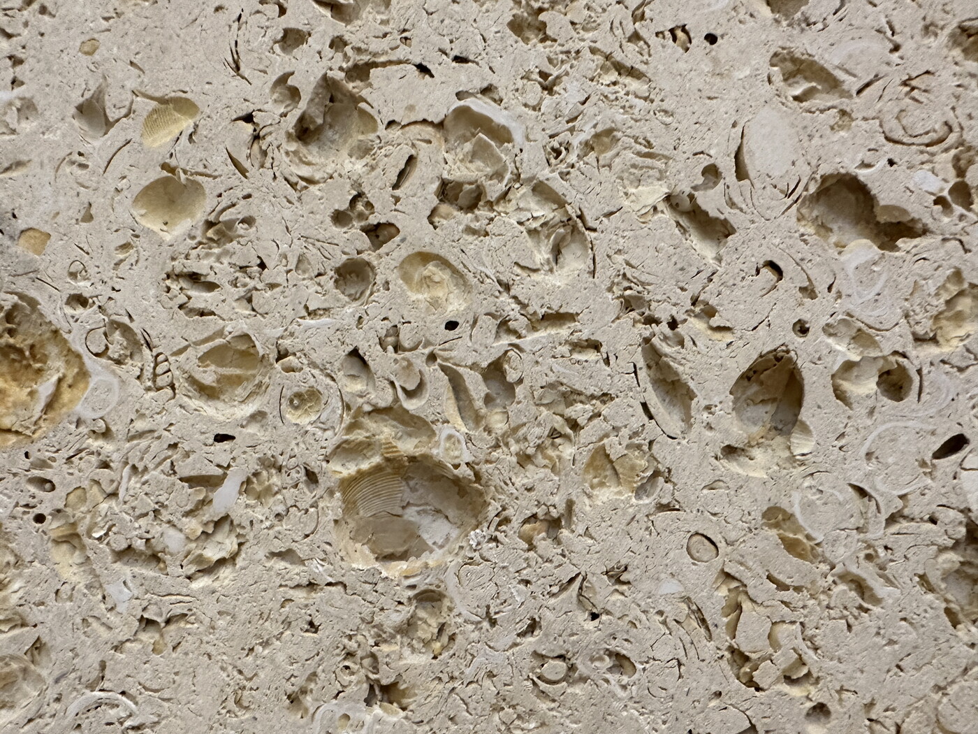 Looking at the walls | Amon Carter Museum of American Art