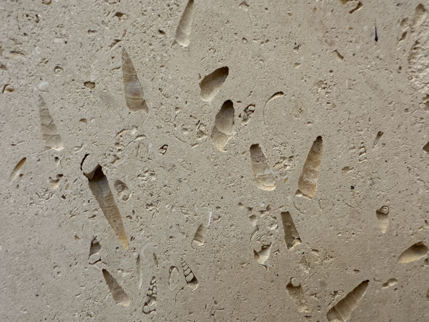 Looking at the walls | Amon Carter Museum of American Art