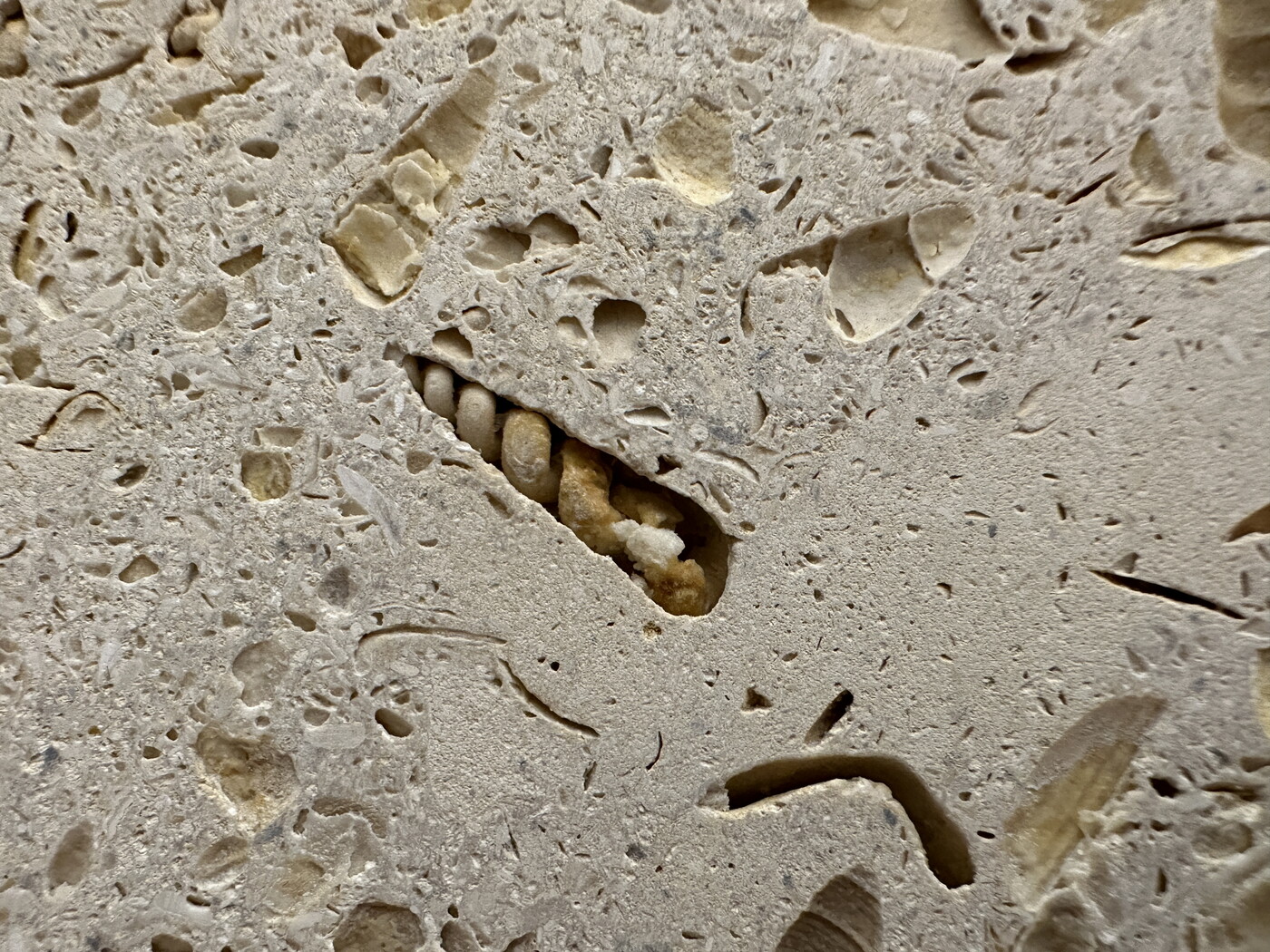 Looking at the walls | Amon Carter Museum of American Art