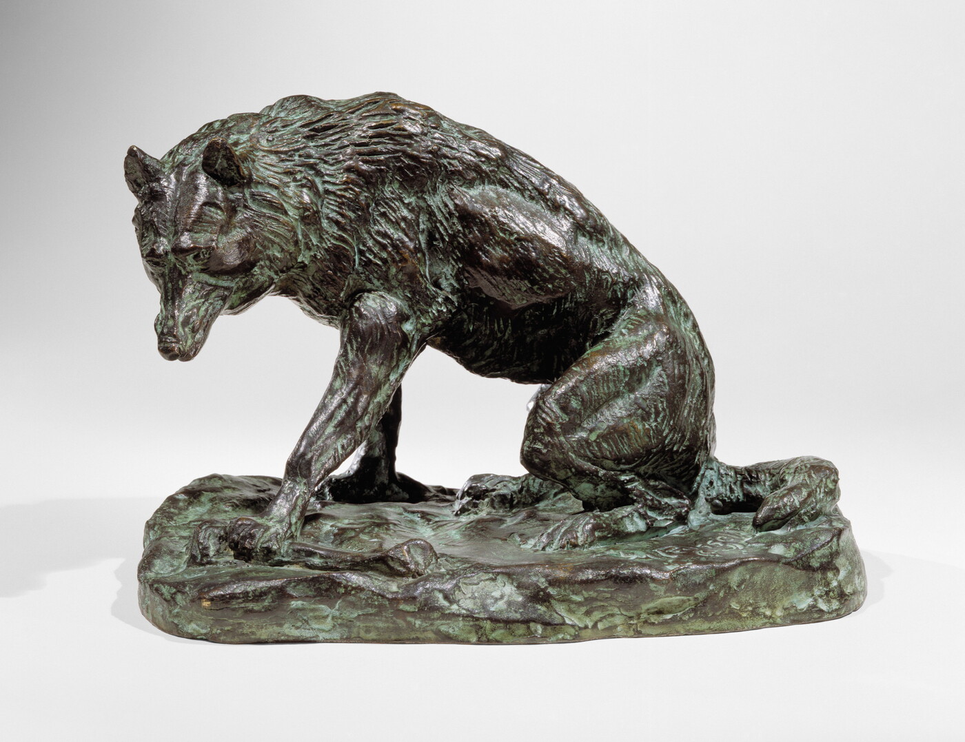 Lone Wolf | Amon Carter Museum of American Art