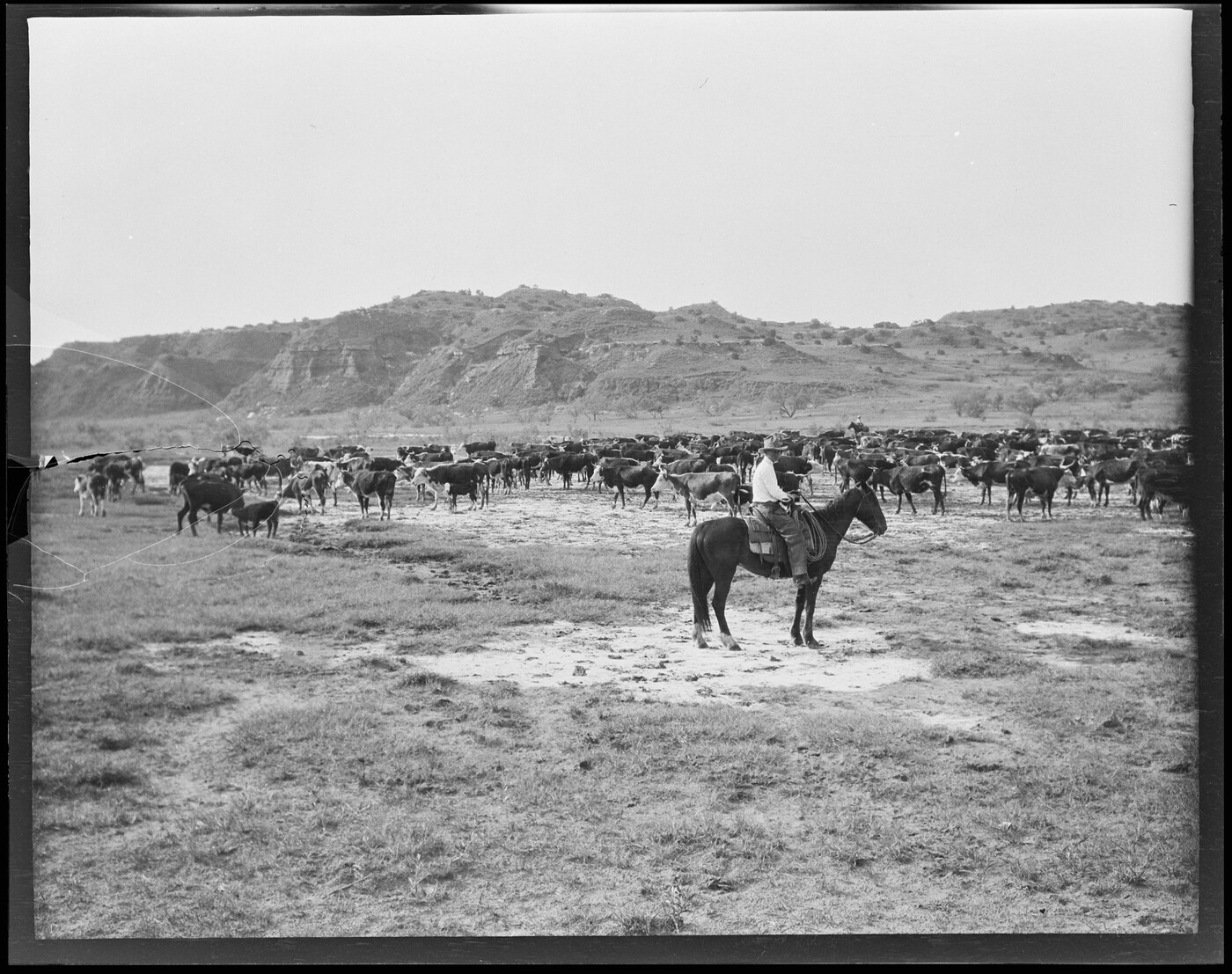 Day Herder. LS Ranch, Texas | Amon Carter Museum of American Art