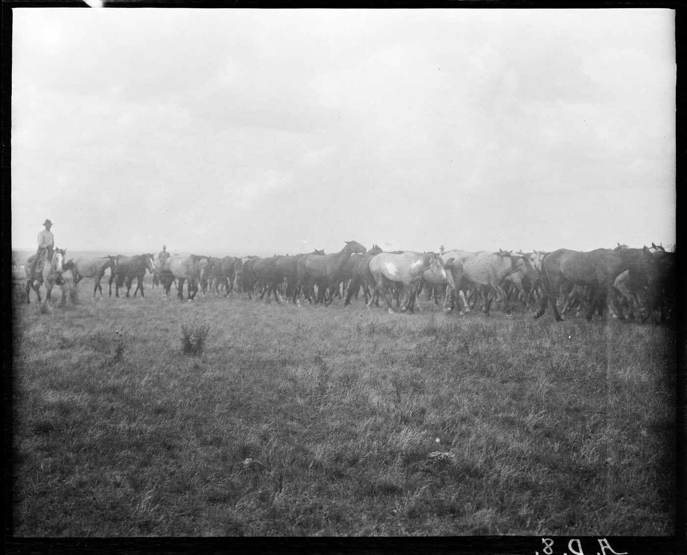 Two cowboys moving the remuda. JA Ranch, Texas. | Amon Carter Museum of ...