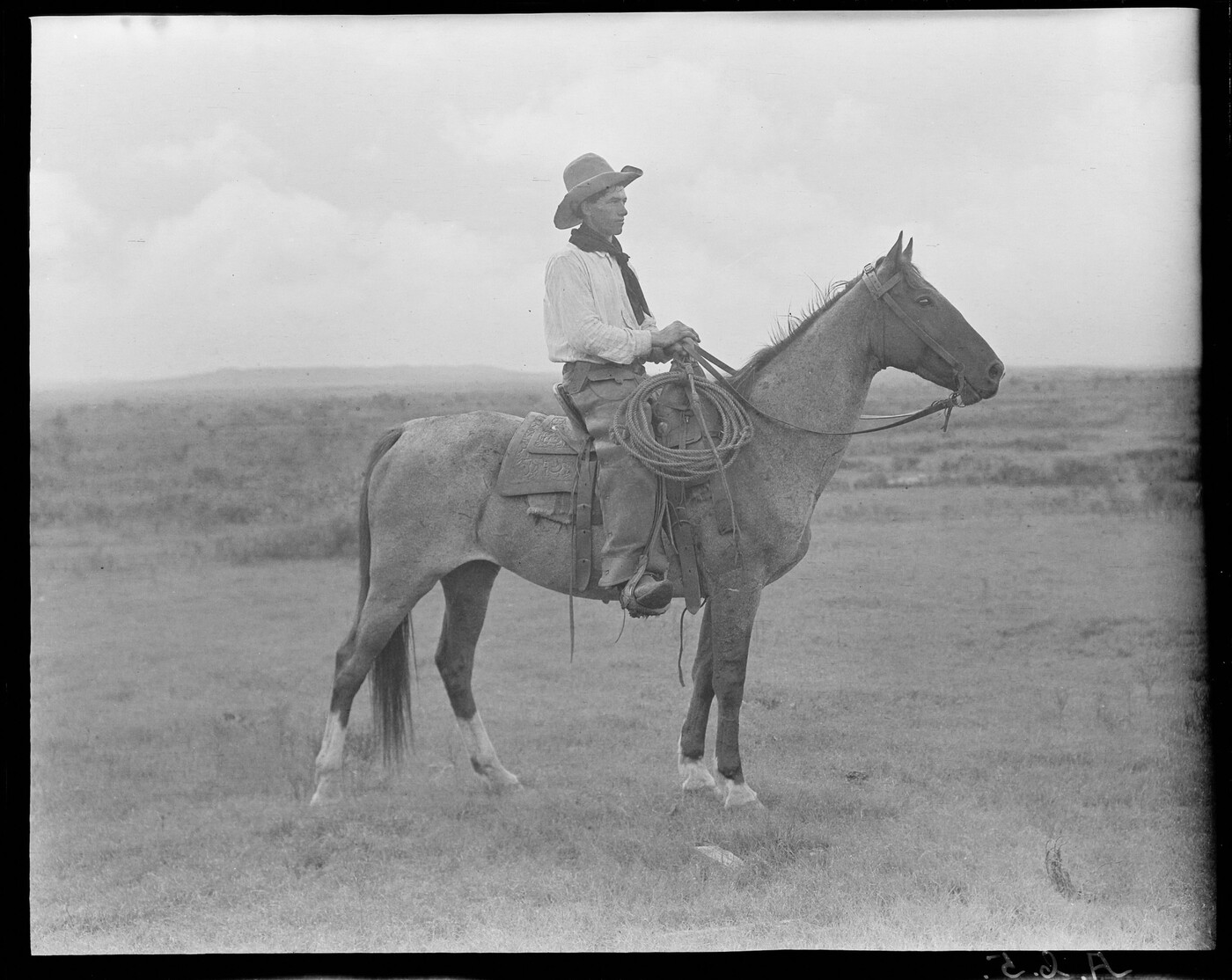 A cowboy on his mount on the JA Ranch in Texas. JA Ranch, Texas. | Amon ...