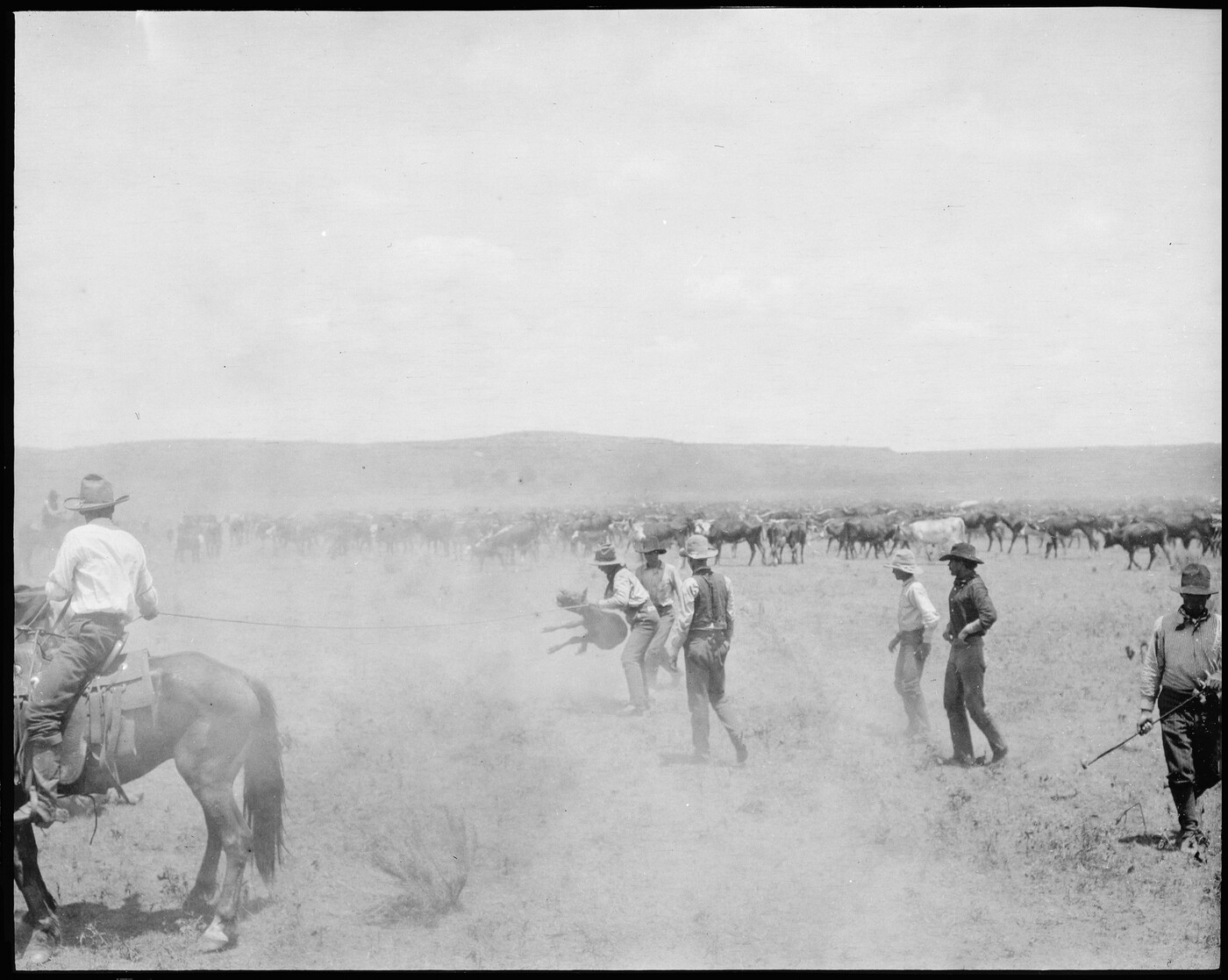 Branding scene. Spur Ranch, Texas. | Amon Carter Museum of American Art