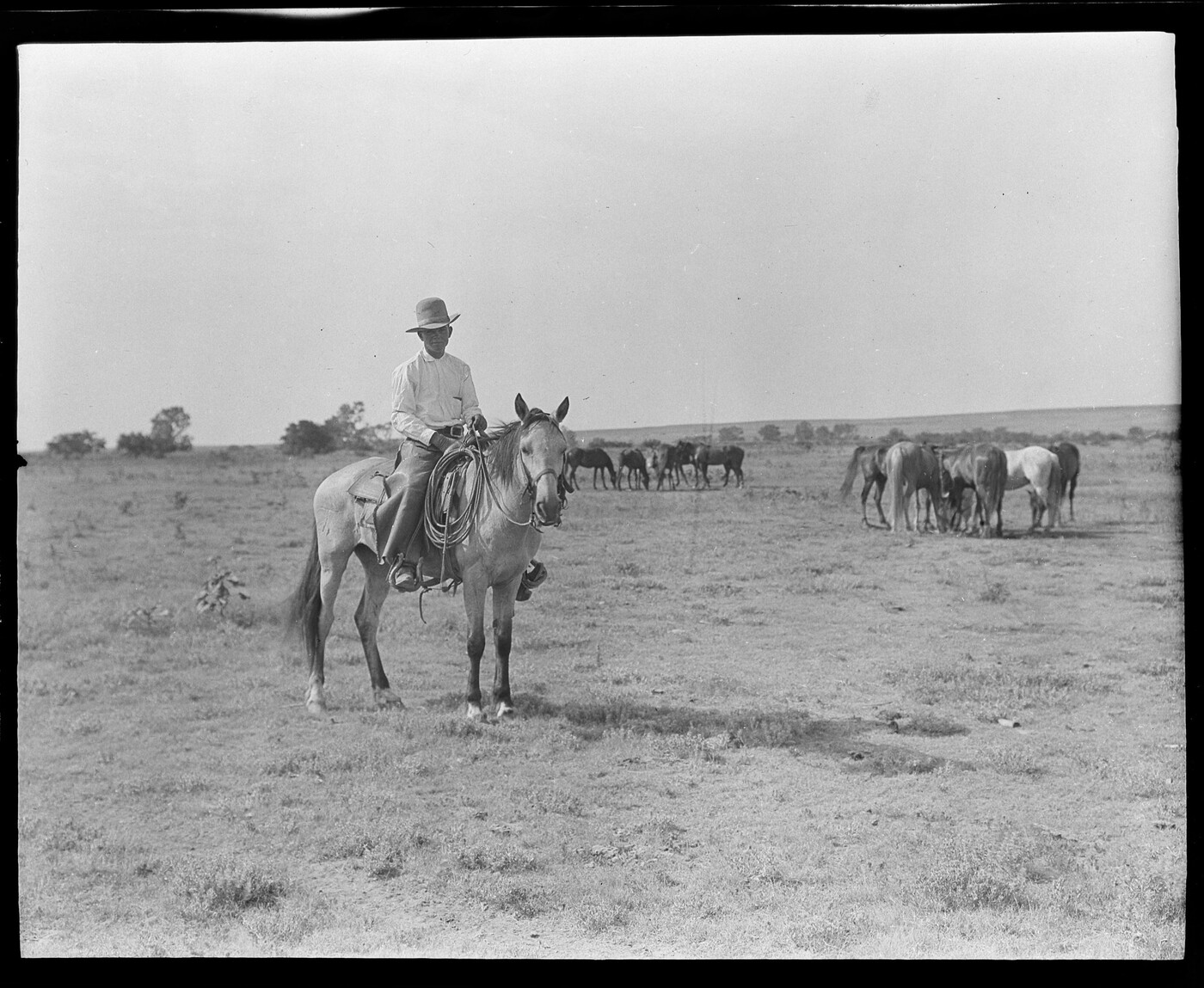 A wrangler of the Pitchfork Ranch. Pitchfork Ranch near Spur Ranch ...