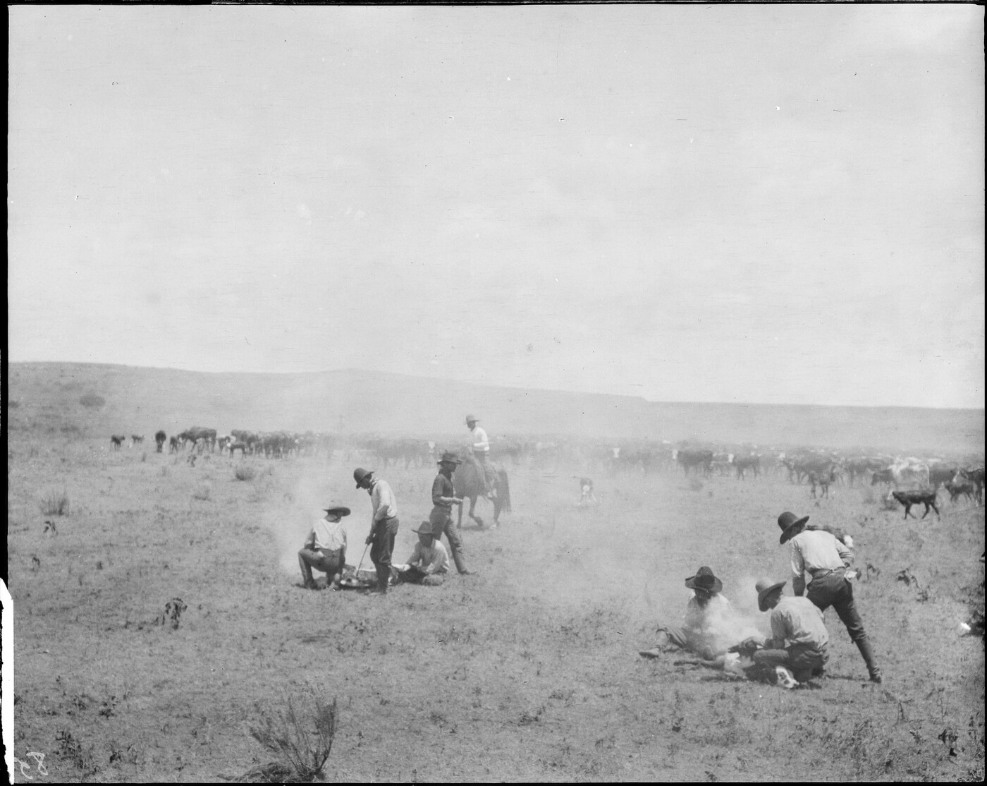 Branding scene. Spur Ranch, Texas. | Amon Carter Museum of American Art