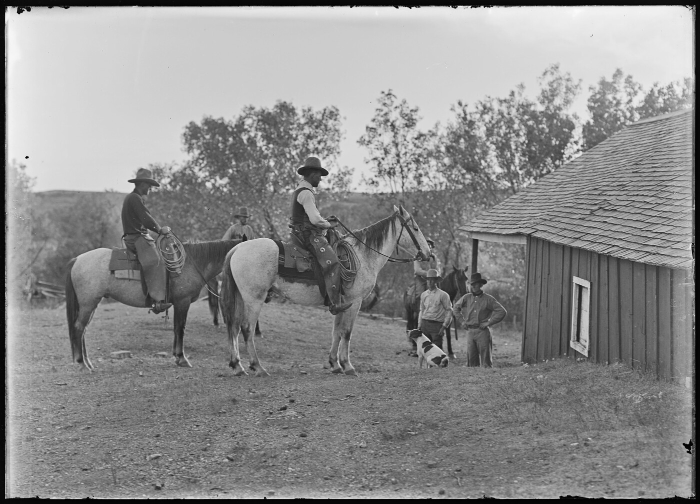Cowboys arriving at a ranching line camp. Line camps were maintained ...