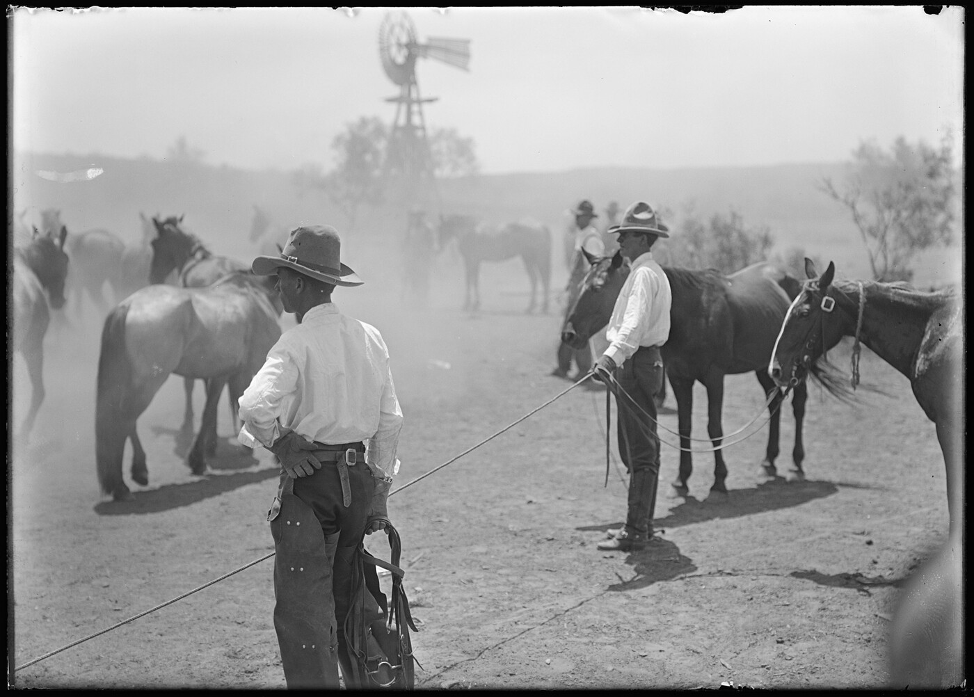 Cowpunchers holding the remuda (band of horses) to rope out mounts. A ...