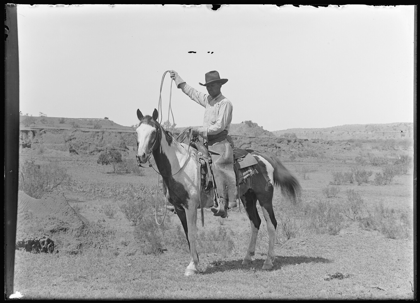 Cowpuncher with his "paint" pony and lariat poised for throwing. Spur ...