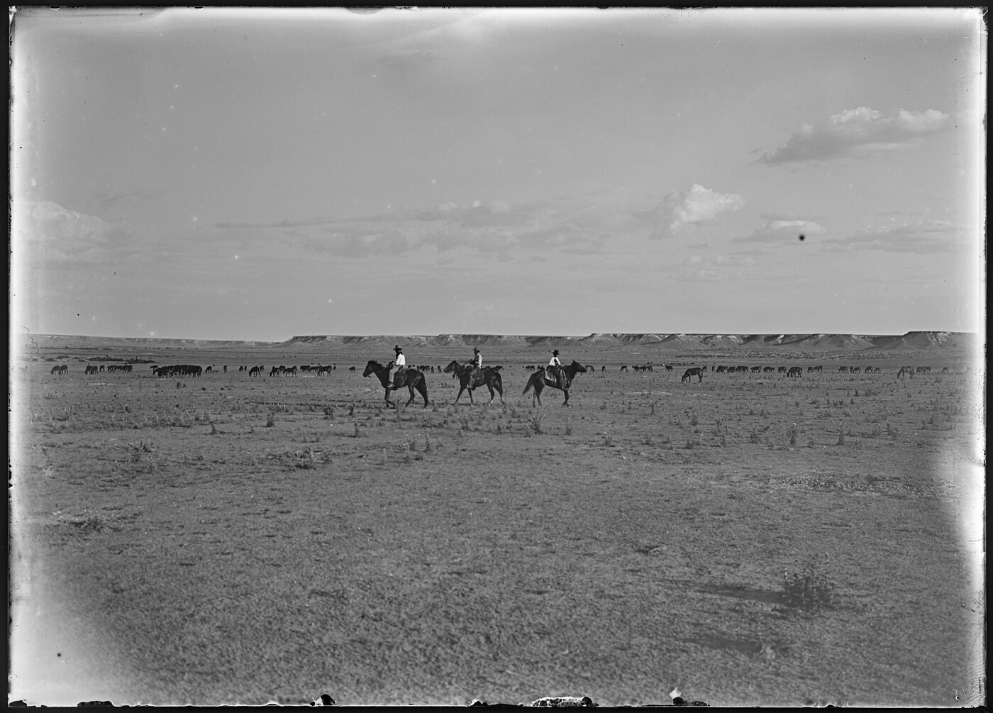 Three cowpunchers riding the range below the caprock. Spur Ranch, Texas ...