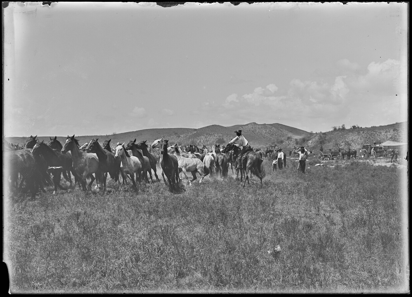 Smearing His Loop on a Wild One, JA Ranch, Texas | Amon Carter Museum ...