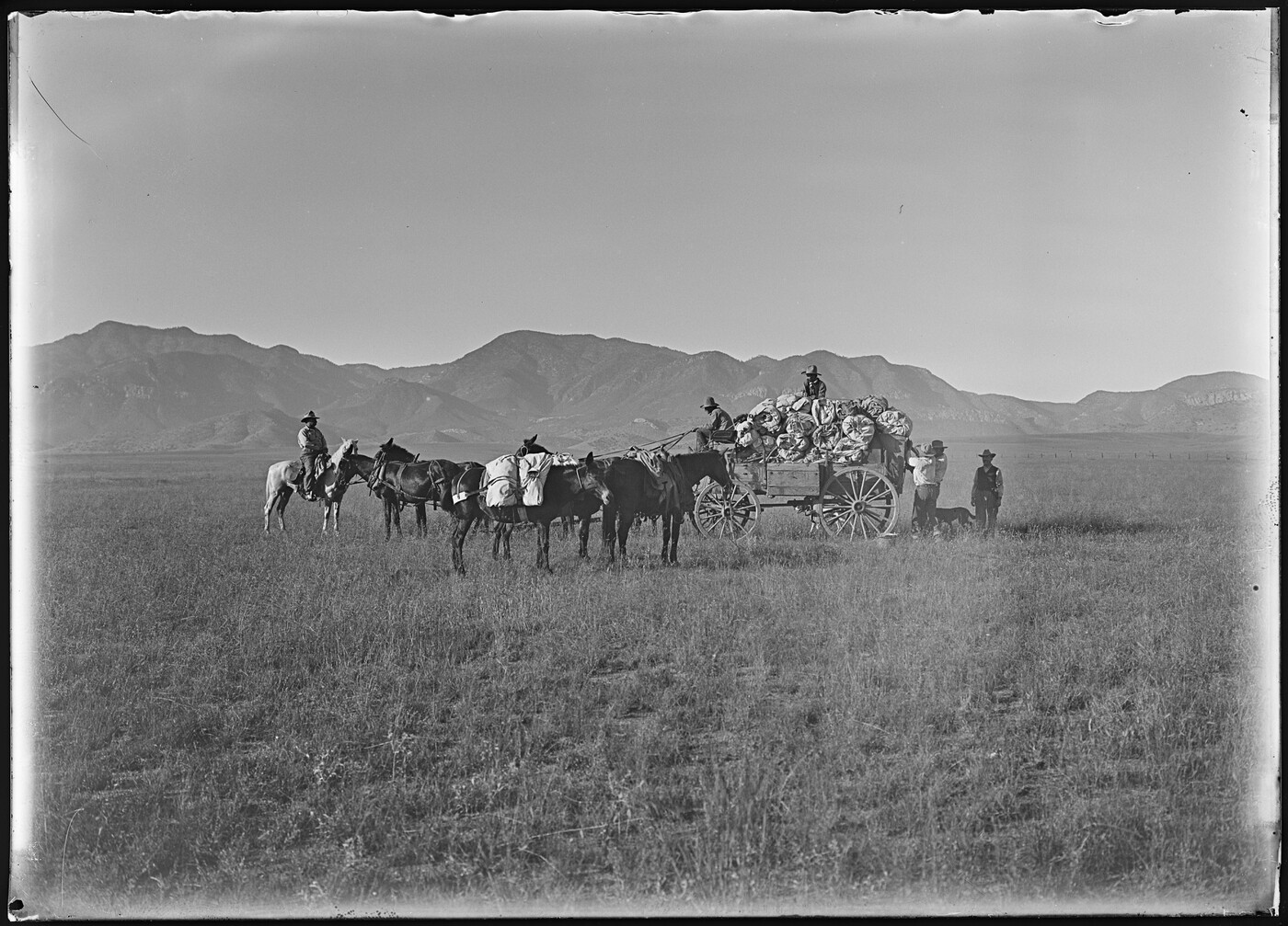 Jeff Milton (extreme left) on his dun-colored horse, and the Greene ...