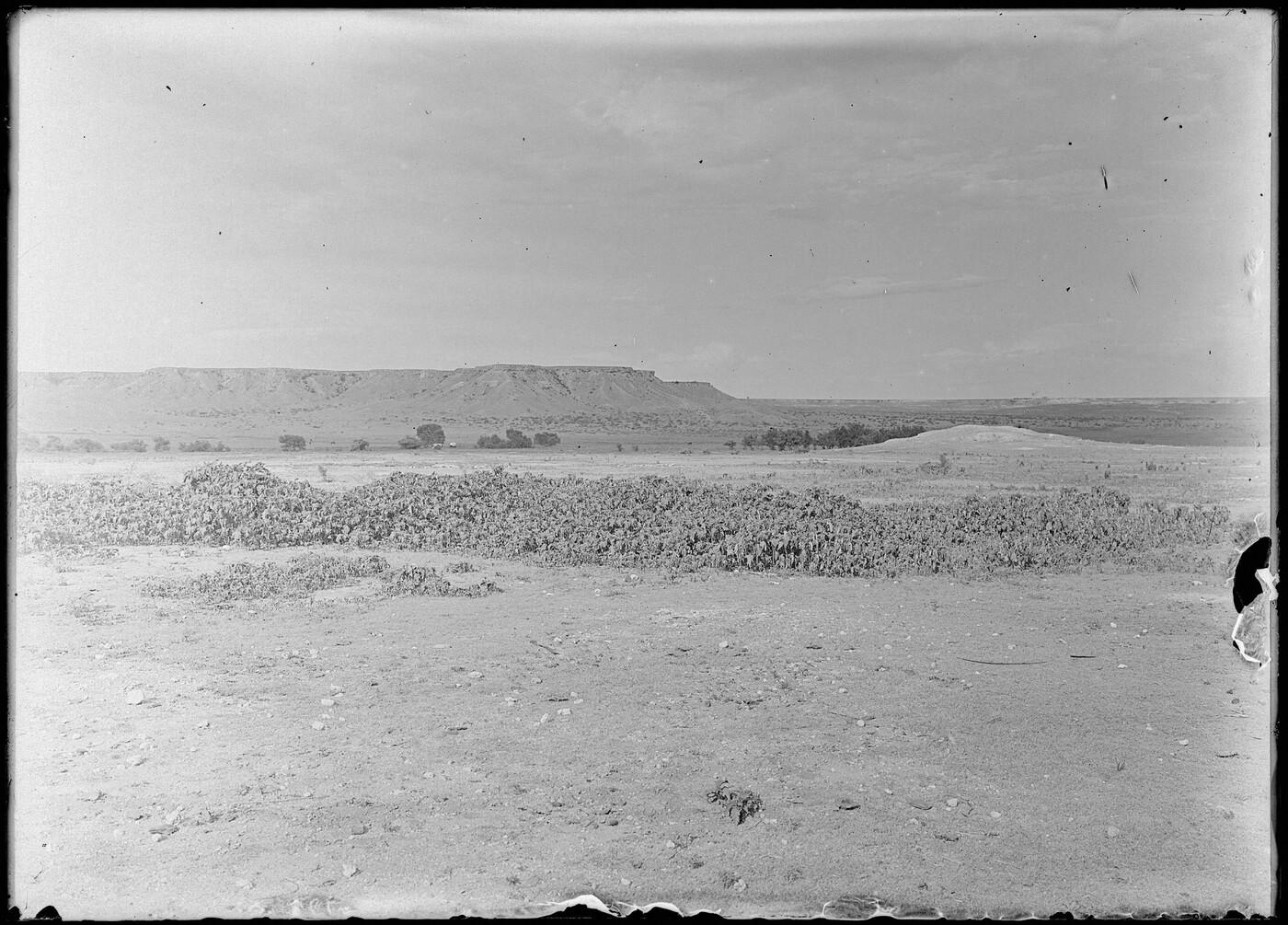 [Spur Ranch, Texas] | Amon Carter Museum of American Art