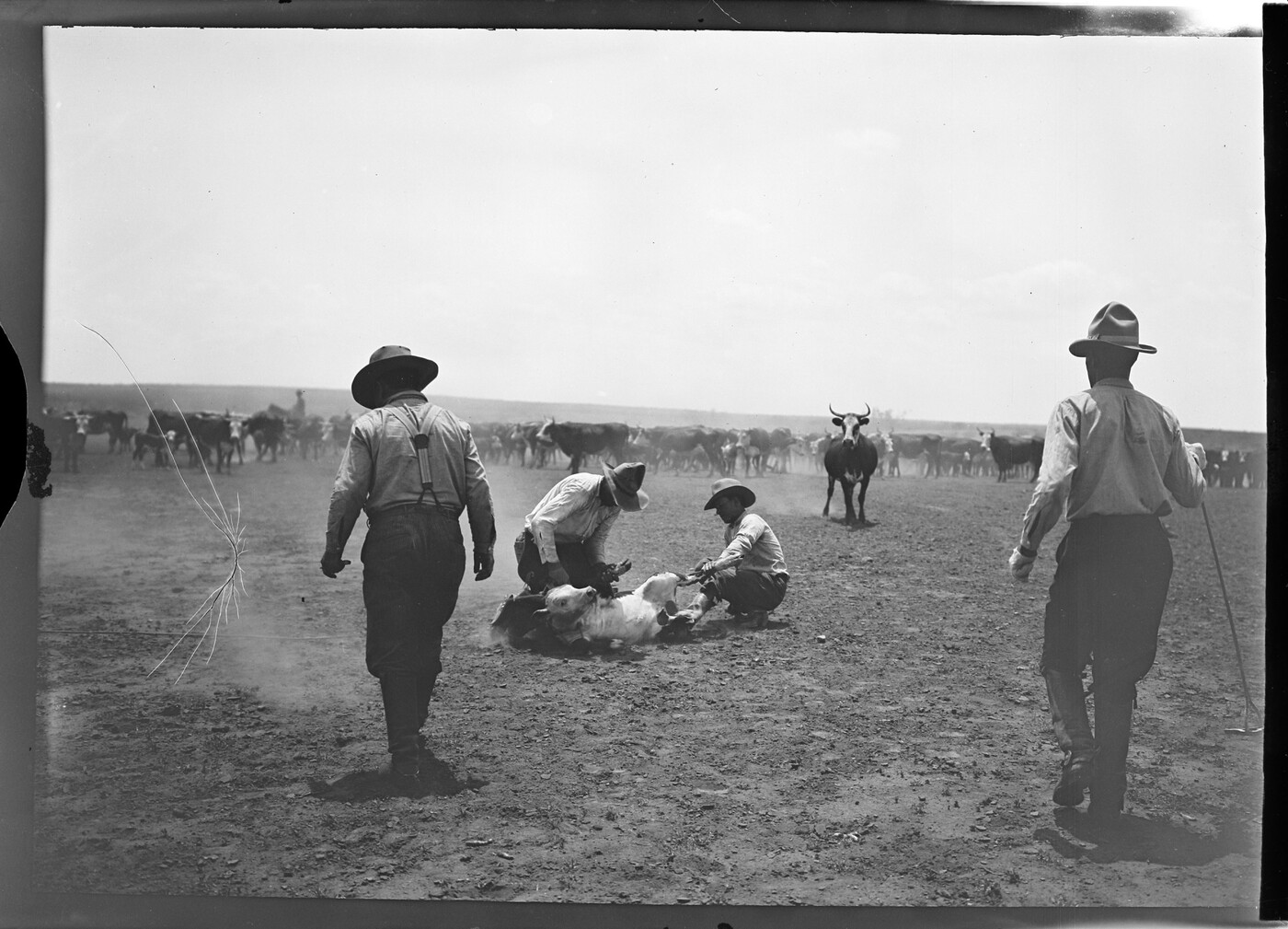 Branding Scene, Spur Ranch, Texas | Amon Carter Museum of American Art