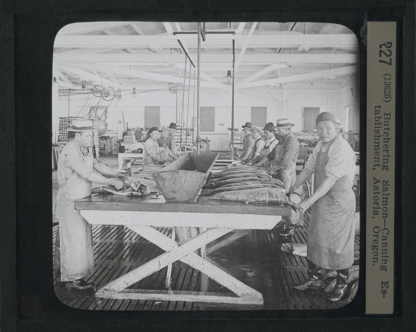 Butchering Salmon -- Canning Establishment, Astoria, Oregon. | Amon ...