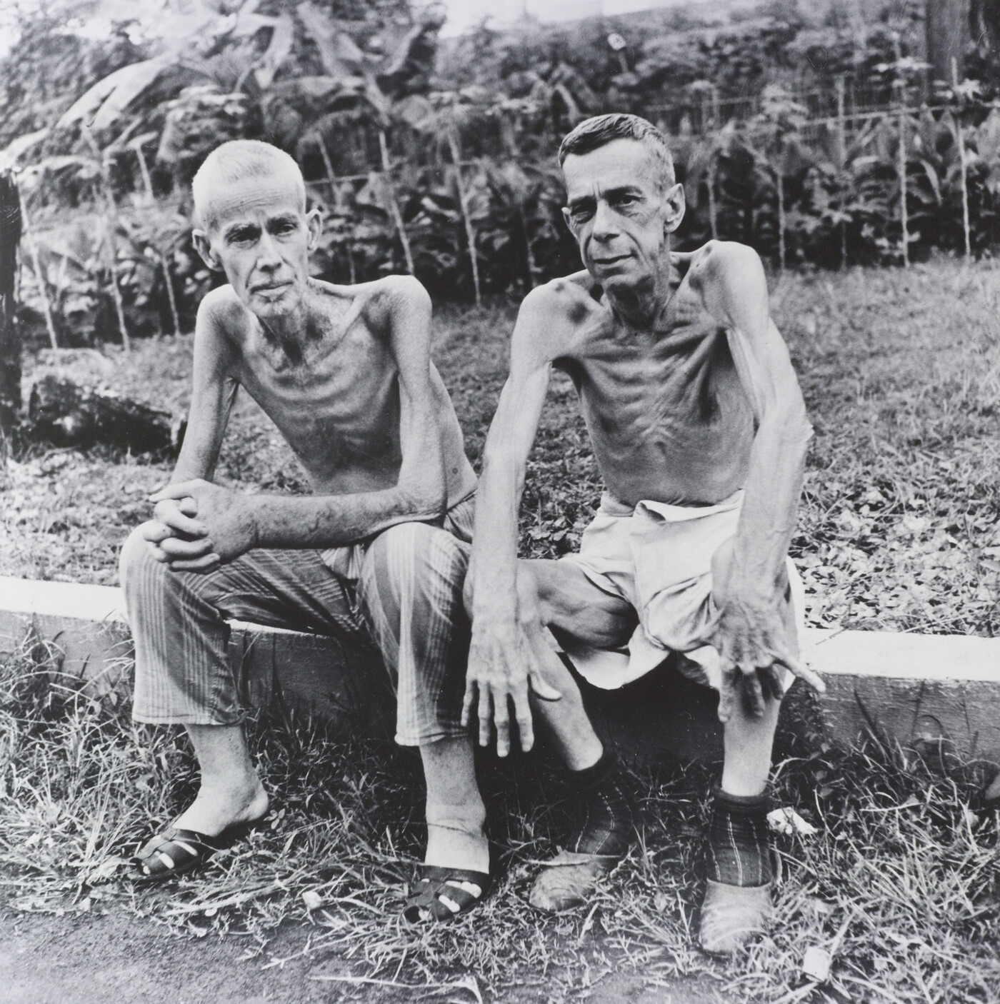 Interned by the Japanese, Civilians Lee Rogers and John Todd Lost 131 ...