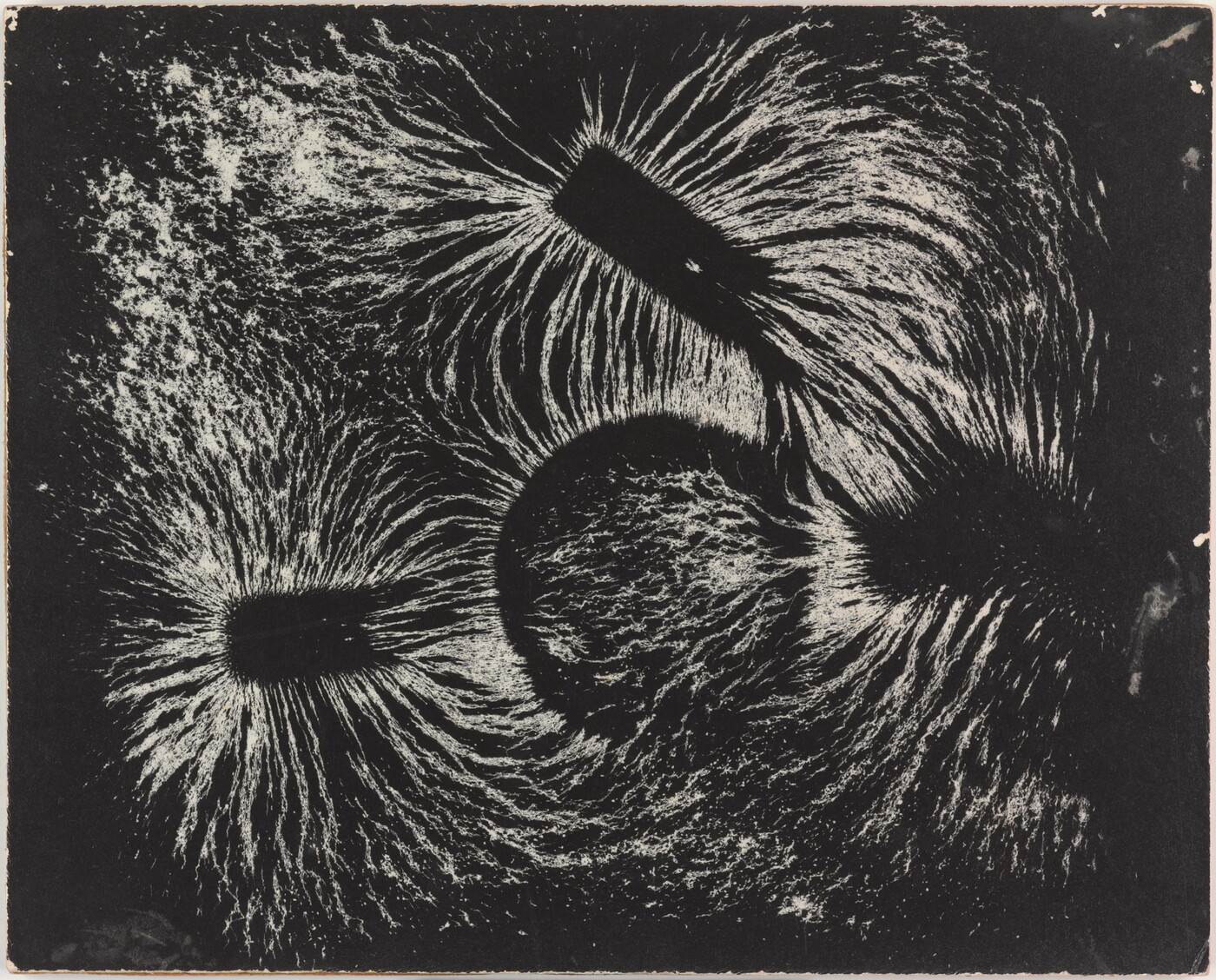 [Magnetic patterns of iron shavings] | Amon Carter Museum of American Art