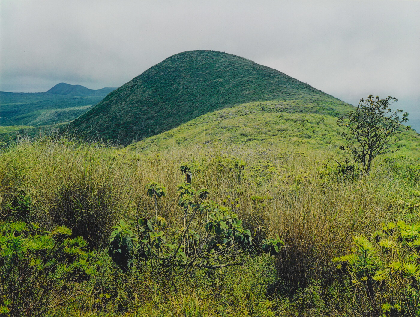 Rim of Volcano, Alcedo Volcano, Isabela Island, Galápagos Islands, May ...