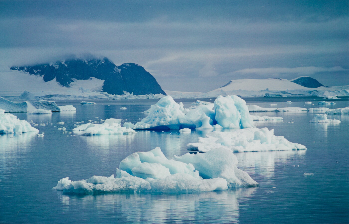 Pendleton Strait with Multiple Icebergs, Antarctic Peninsula ...