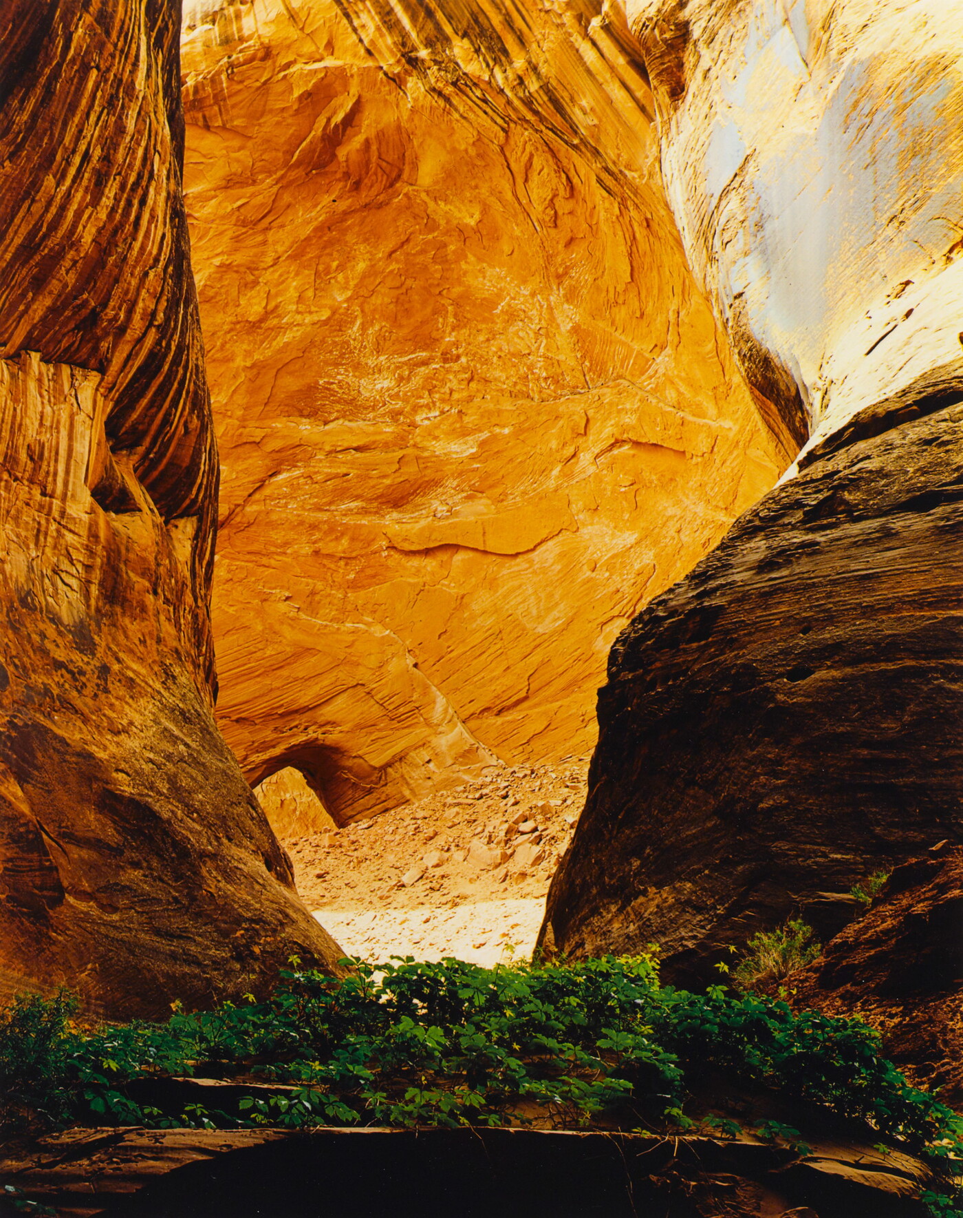 Amphitheater, Davis Gulch, Escalante Basin, May 12, 1965 | Amon Carter ...