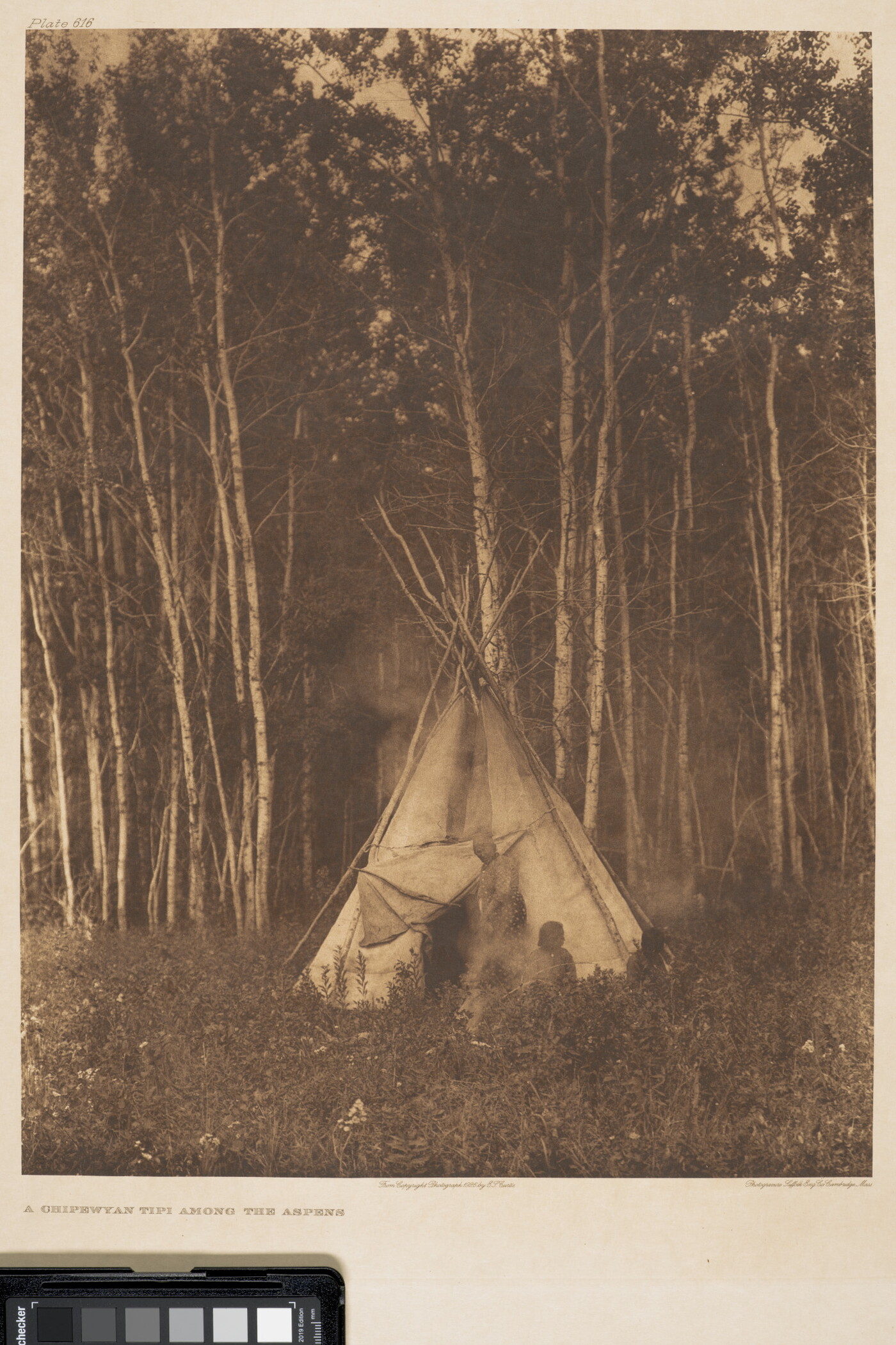 A Chipewyan Among the Aspens | Amon Carter Museum of American Art