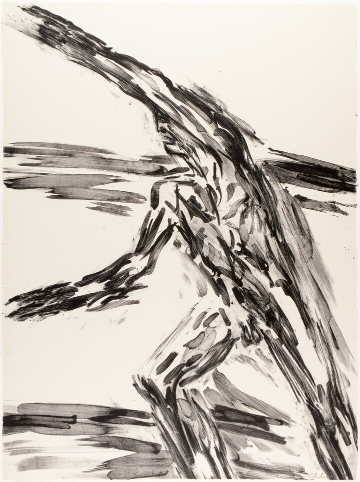 Leon Golub | Amon Carter Museum of American Art