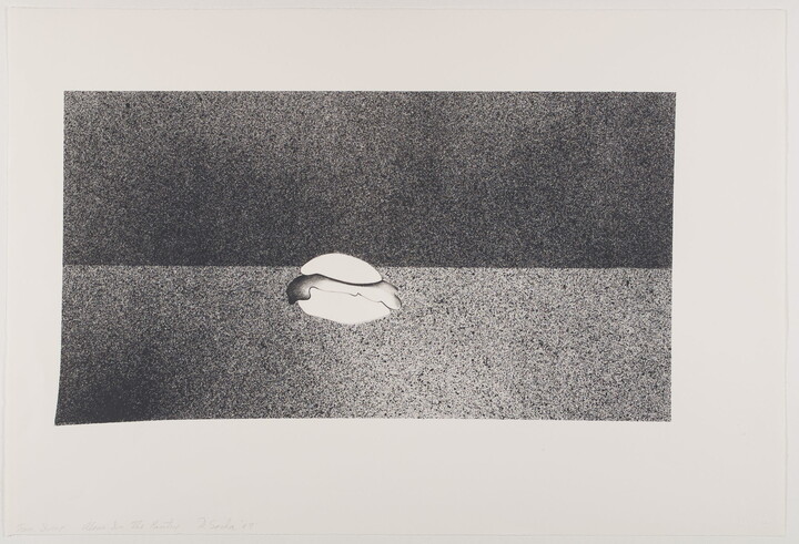 Dan Socha | Amon Carter Museum of American Art