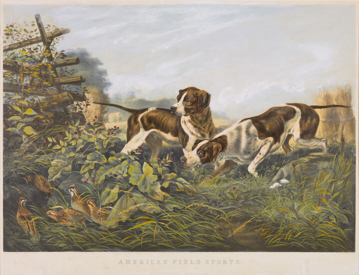 Arthur Fitzwilliam Tait | Amon Carter Museum of American Art