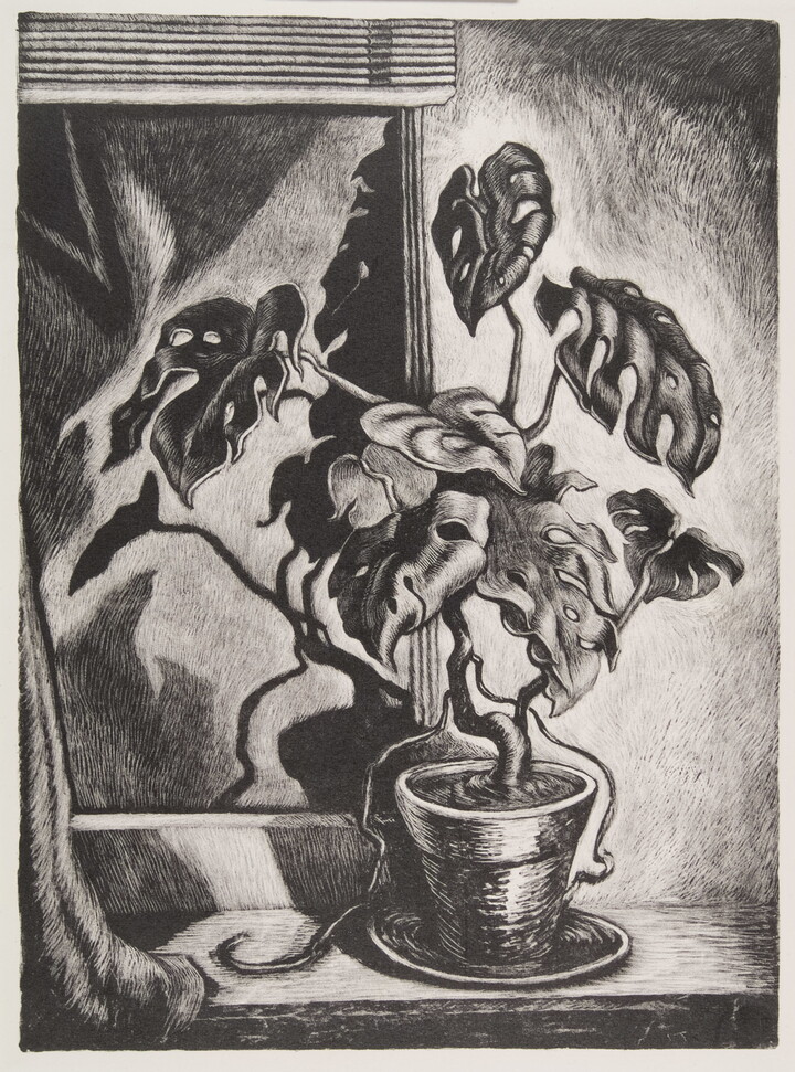 Wanda Gág | Amon Carter Museum of American Art