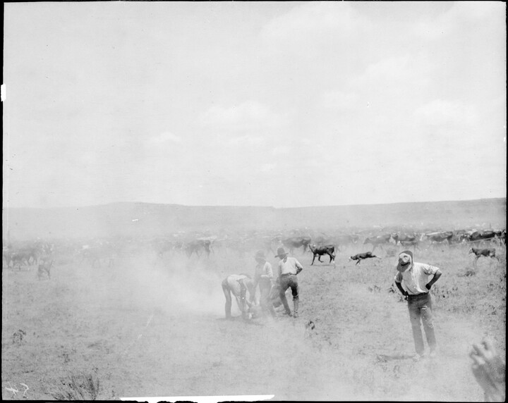 The Spur Ranch remuda. Spur Ranch, Texas. | Amon Carter Museum of ...