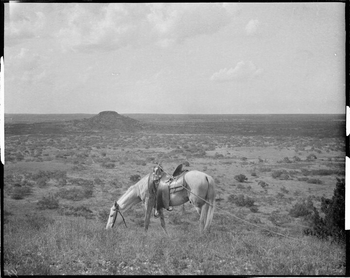 Spur Ranch, Texas | Amon Carter Museum of American Art
