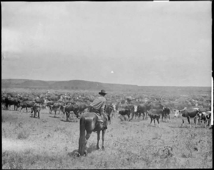 Cowboys washing clothes. Matador Ranch, Texas. | Amon Carter Museum of ...