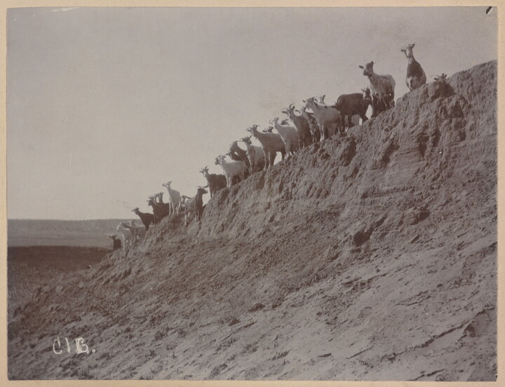 Adam Clark Vroman | Amon Carter Museum of American Art