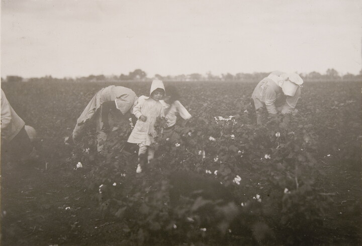 Lewis Wickes Hine | Amon Carter Museum of American Art