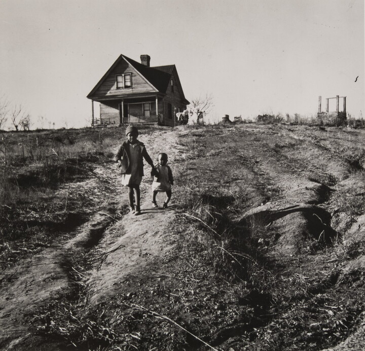 Marion Post Wolcott | Amon Carter Museum of American Art