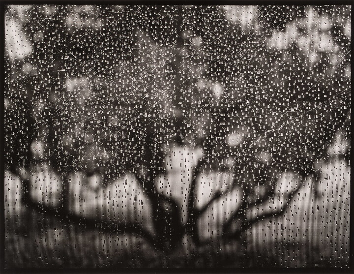 Ruth Bernhard | Amon Carter Museum of American Art