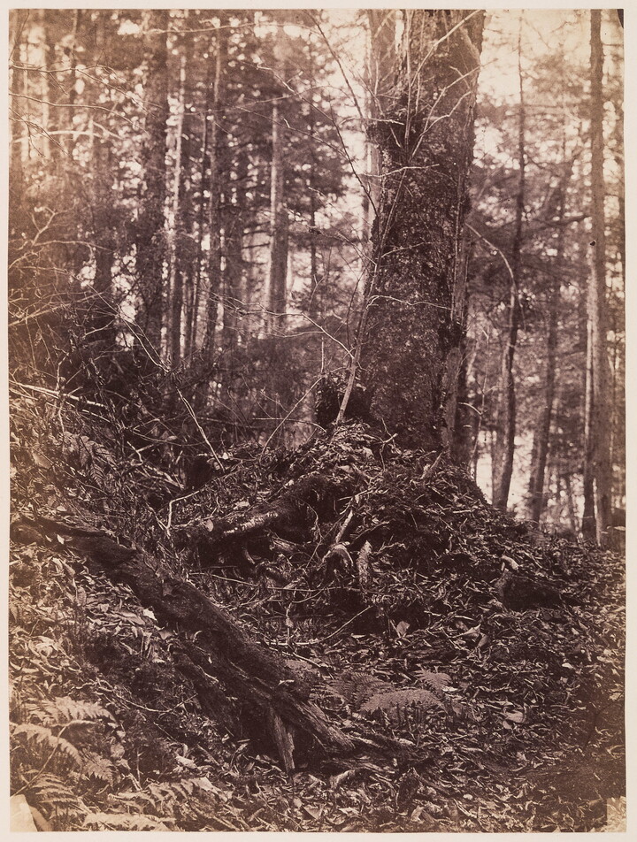 William James Stillman | Amon Carter Museum of American Art