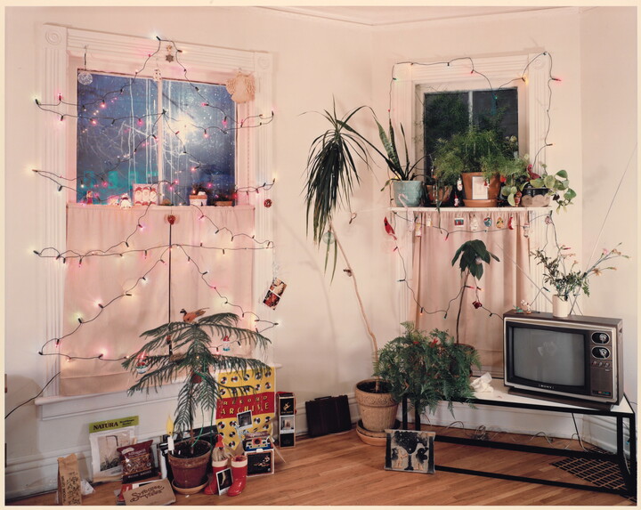 Roger Mertin | Amon Carter Museum of American Art