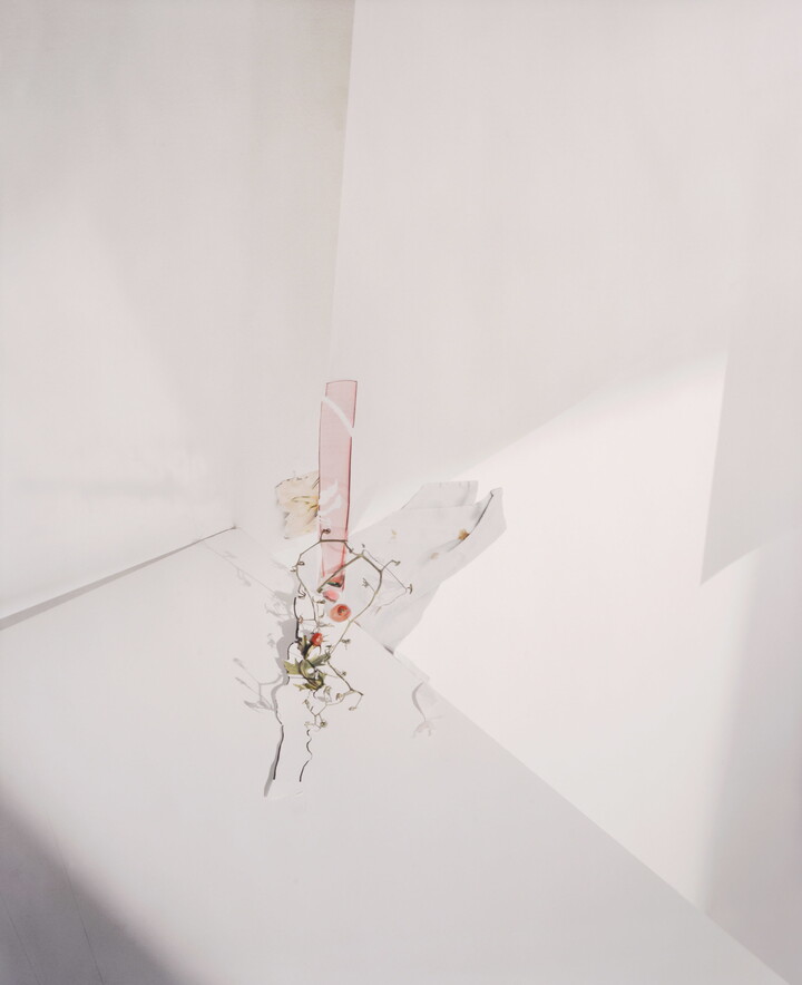 Laura Letinsky | Amon Carter Museum of American Art