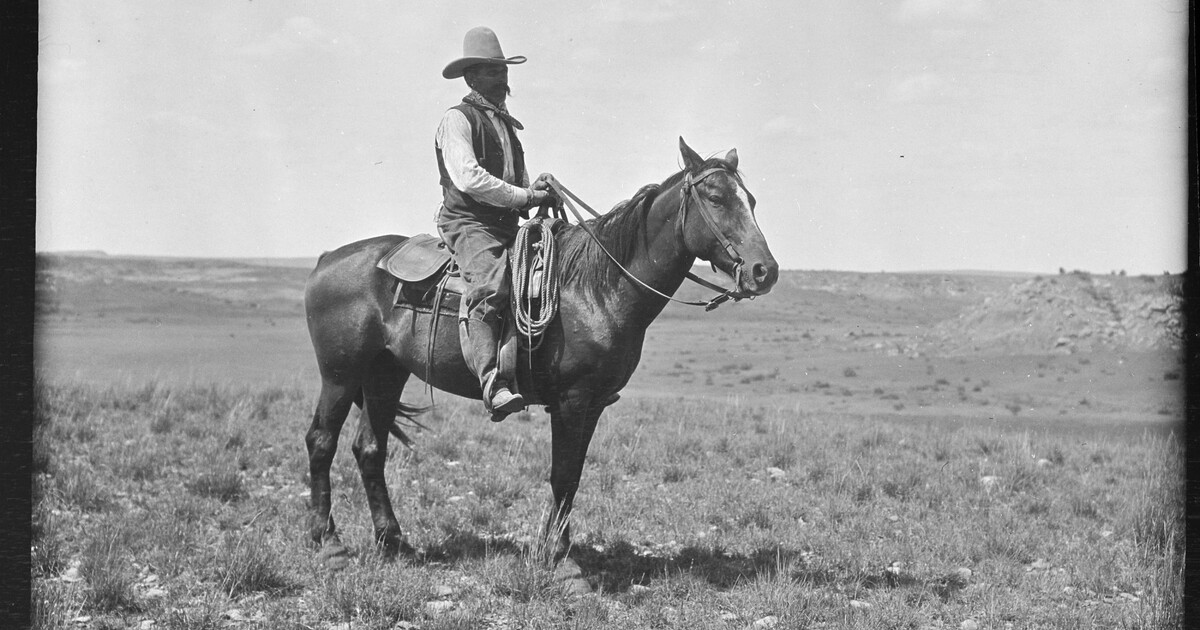 A typical Texas cowboy, one of the LS boys and his pony. LS Ranch ...